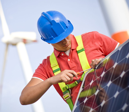 Ostrich Solar Power Solutions - Solar Energy | Home
